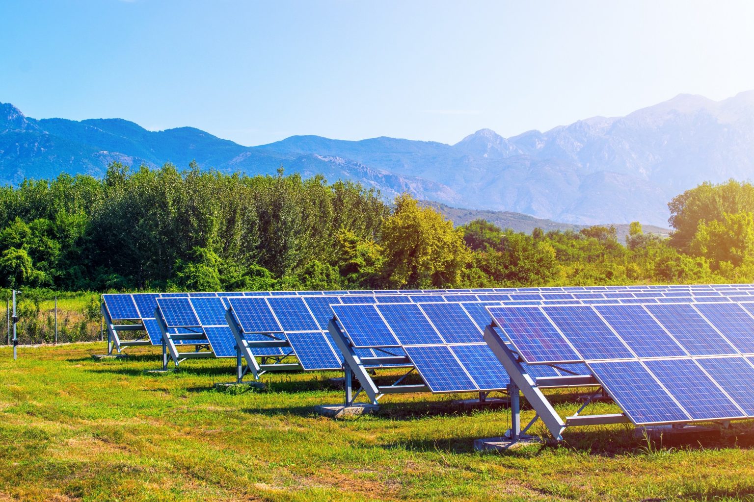 Understanding the Cost and Savings of Commercial Solar Panels | Pro ...